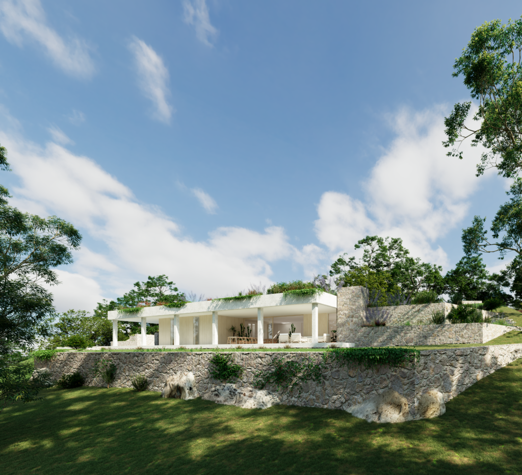 Home - nonHo visuals